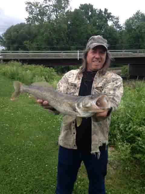 Fish