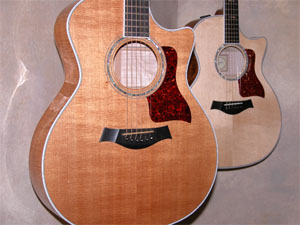 Guitar Rodeo - Taylor Guitar Specialist