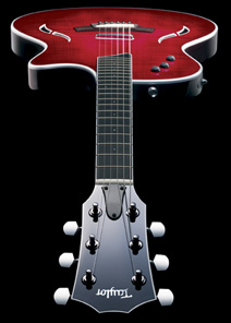 Guitar Rodeo - The Midwest's Taylor Guitar Specialist