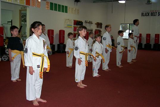 Isshin Ryu Karate - Rochester