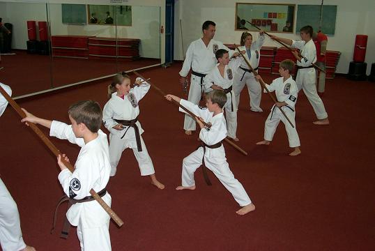 Isshin Ryu Karate - Rochester